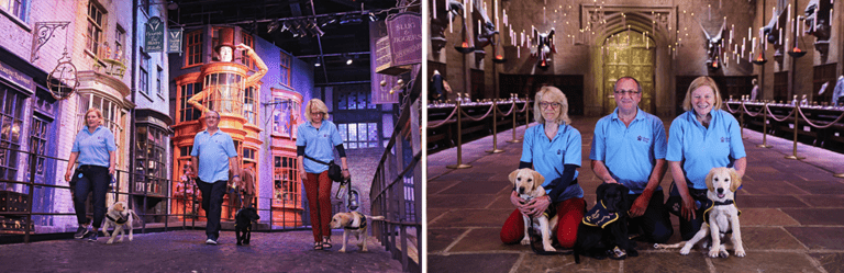 Welcome to Dogwarts - Warner Bros. Studio Tour London